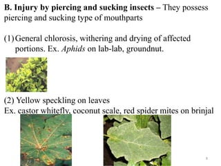 Types of Insect Pest damage in Agri or Horti crops.pptx