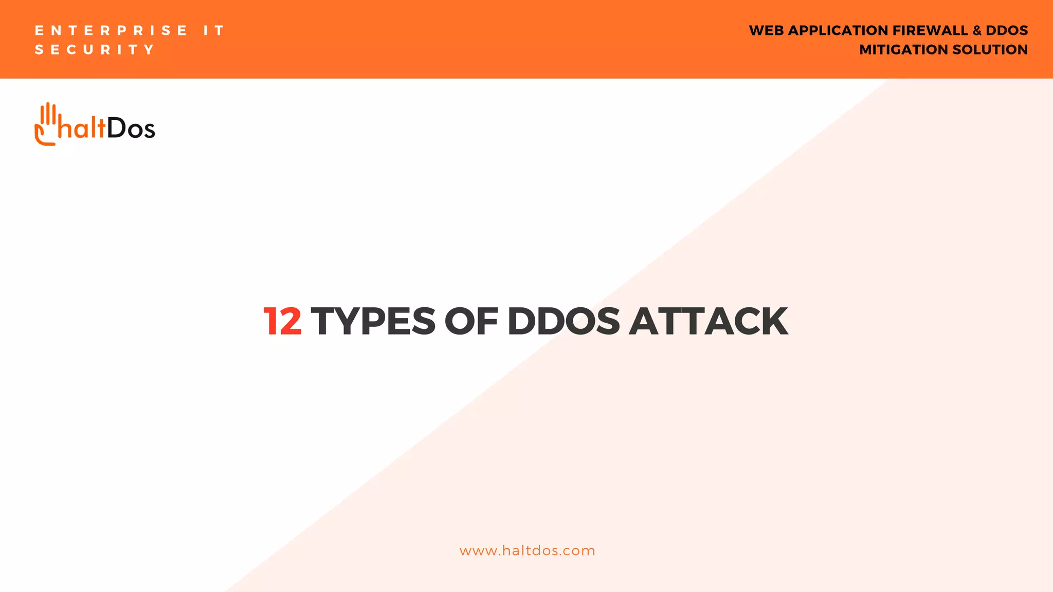 12 types of DDoS attacks | PPT