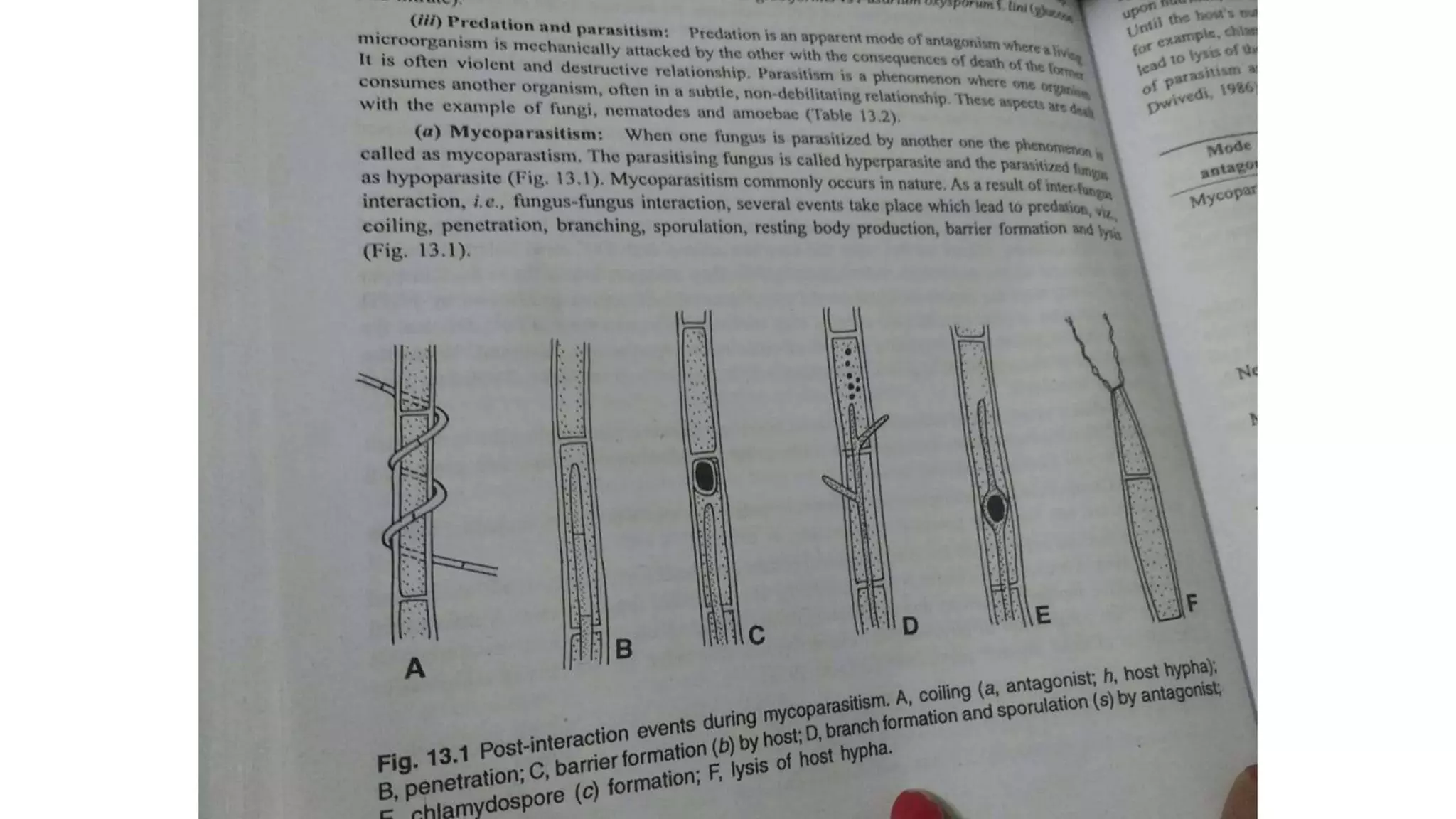 Types of defence mechanism in plants | PPTX | Chemistry | Science