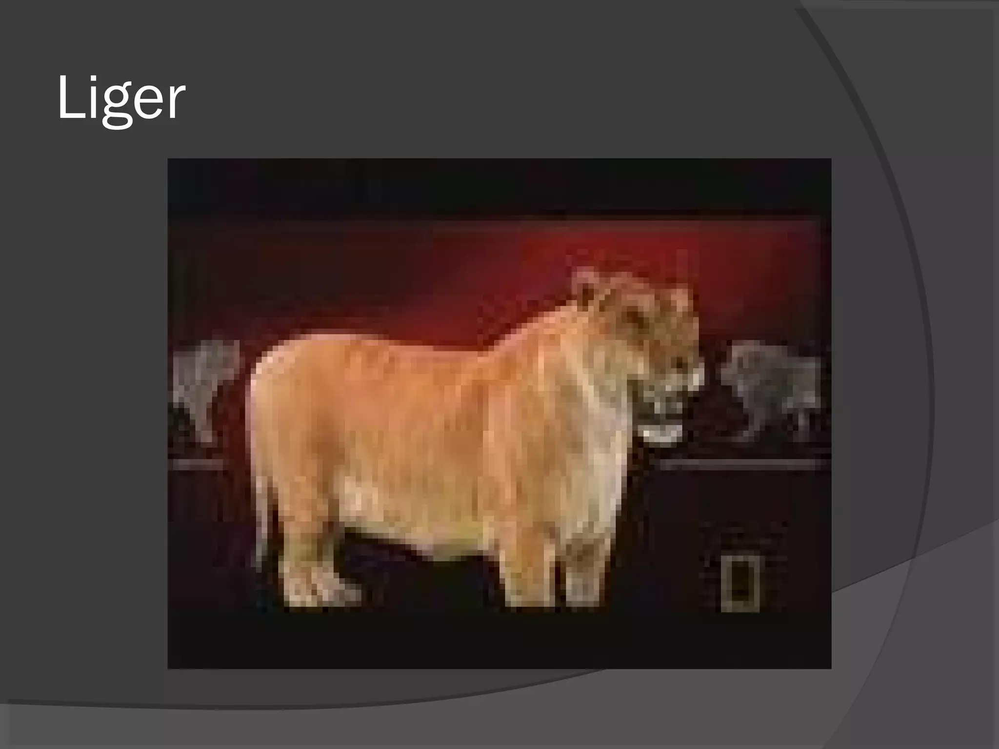 Types of deviation | PPT