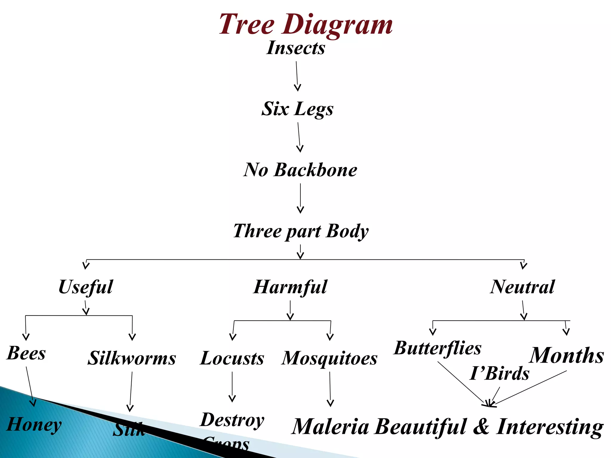 Types of Diagram | PPT