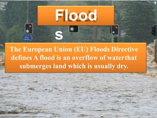 Types of Disasters | PPTX