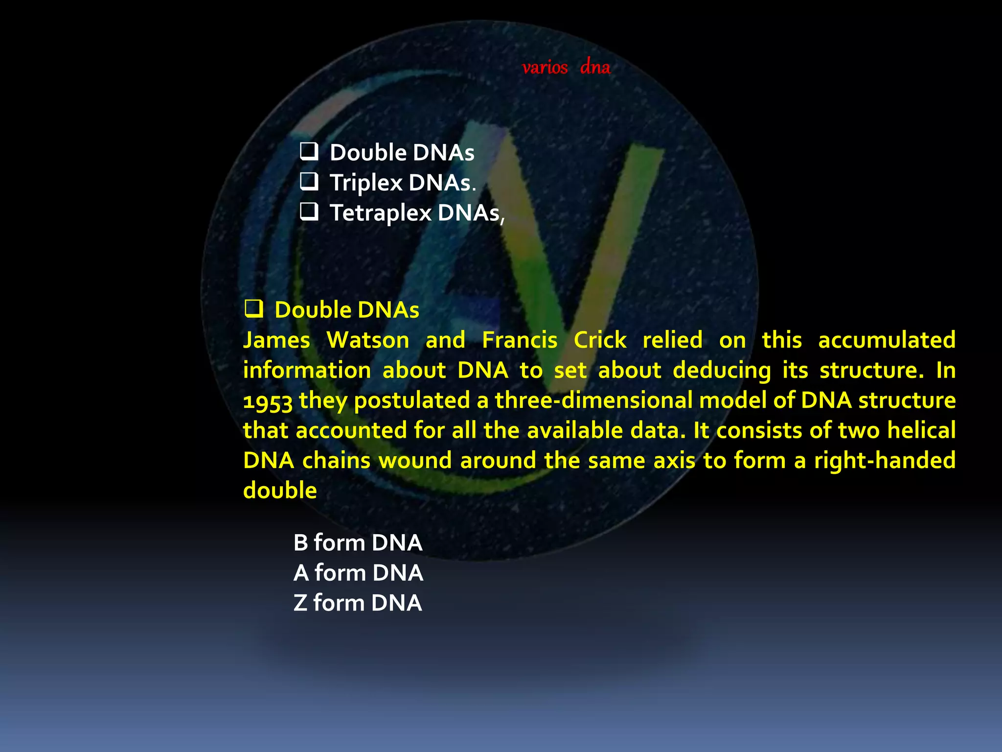 Types of DNA | PPTX