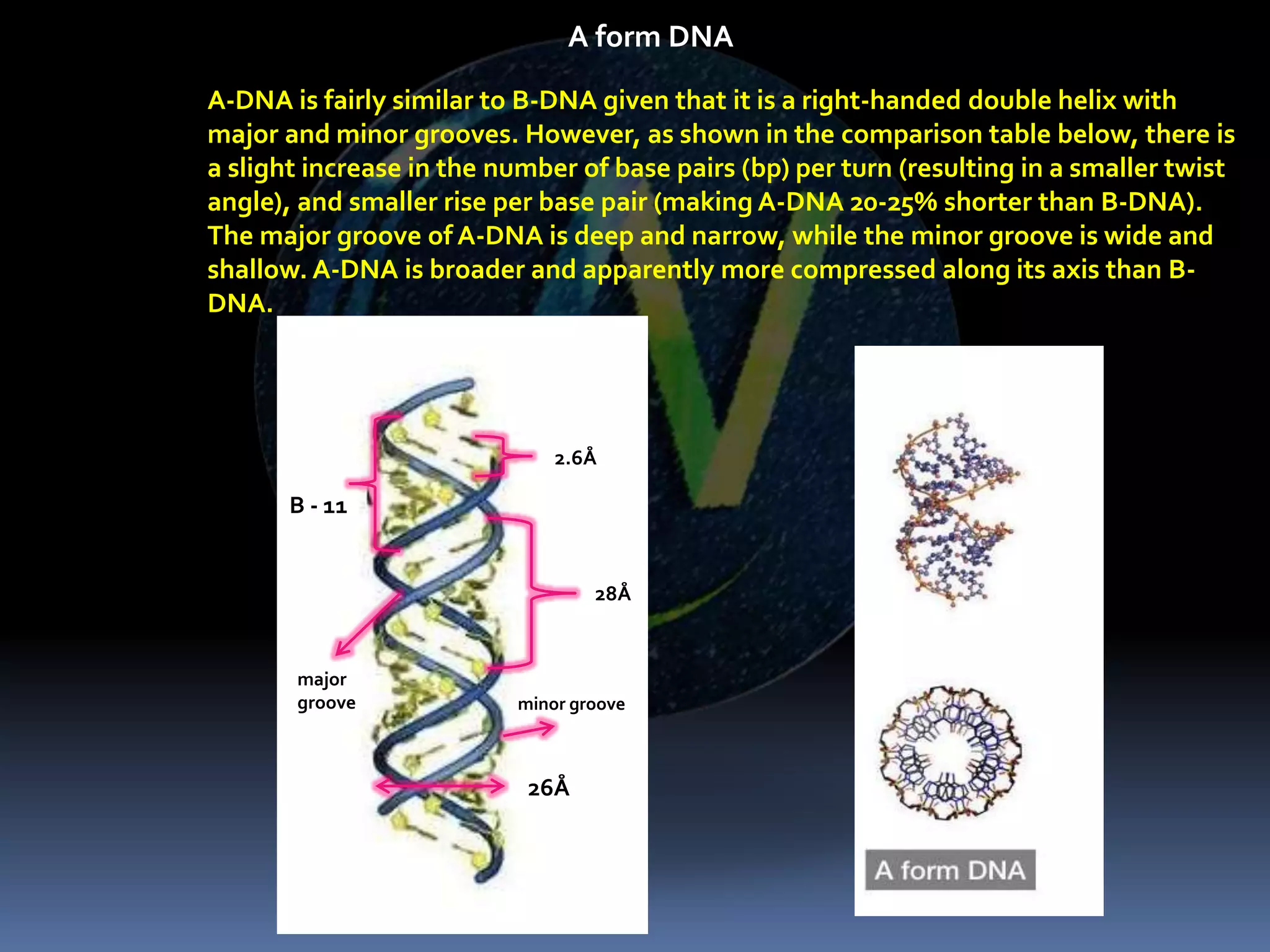 Types of DNA | PPTX