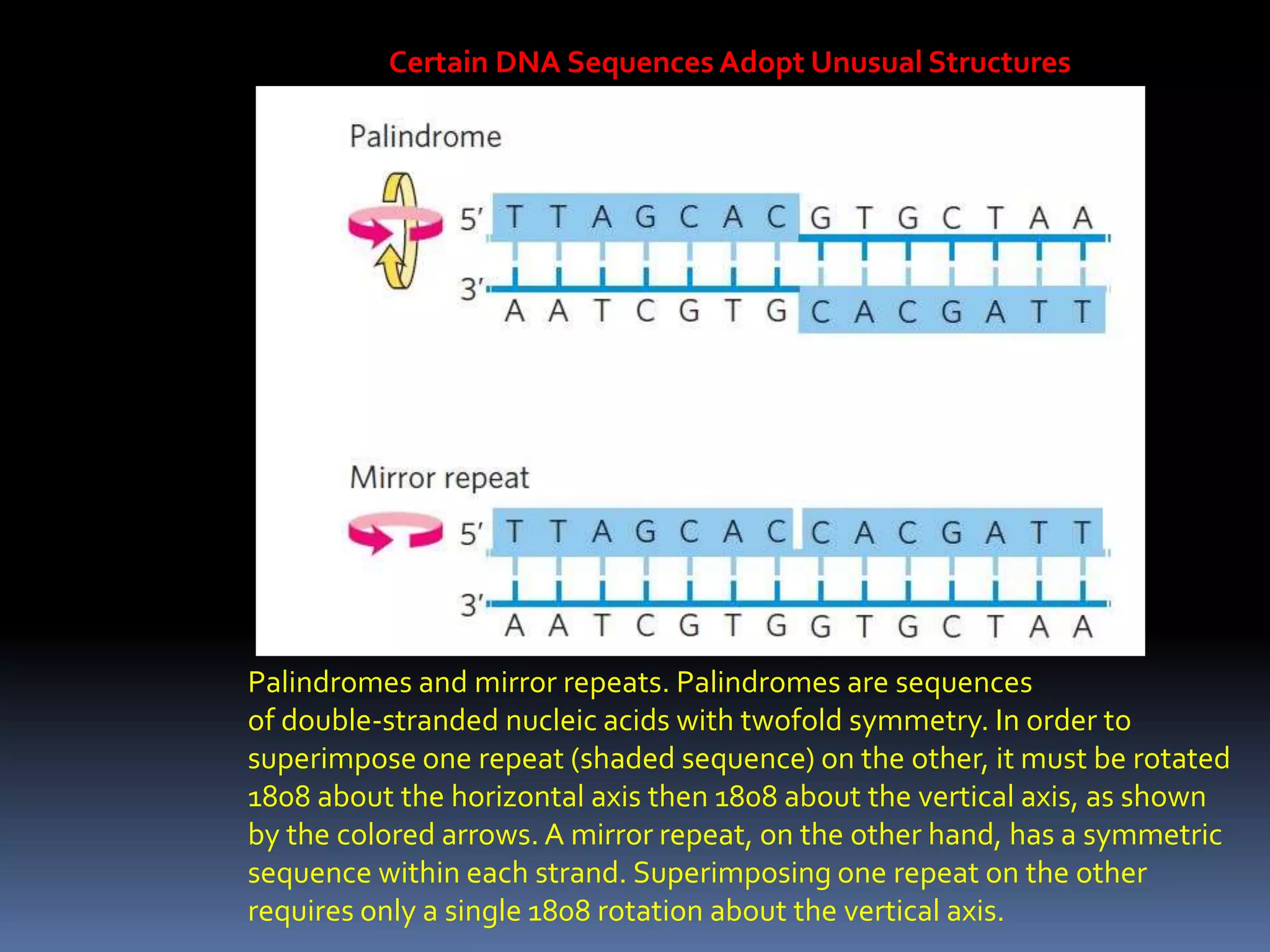 Types of DNA | PPTX