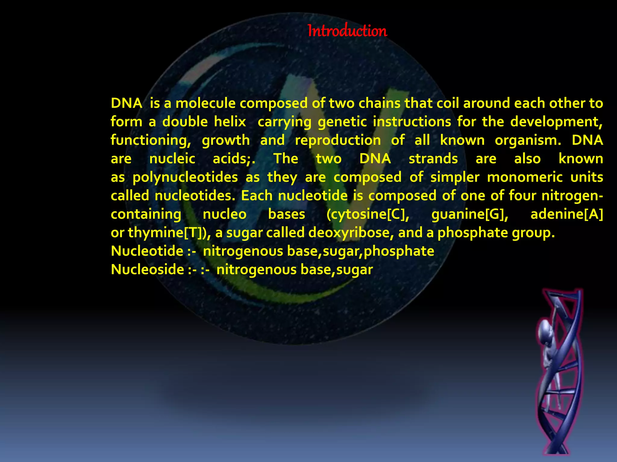 Types of DNA | PPTX | Chemistry | Science