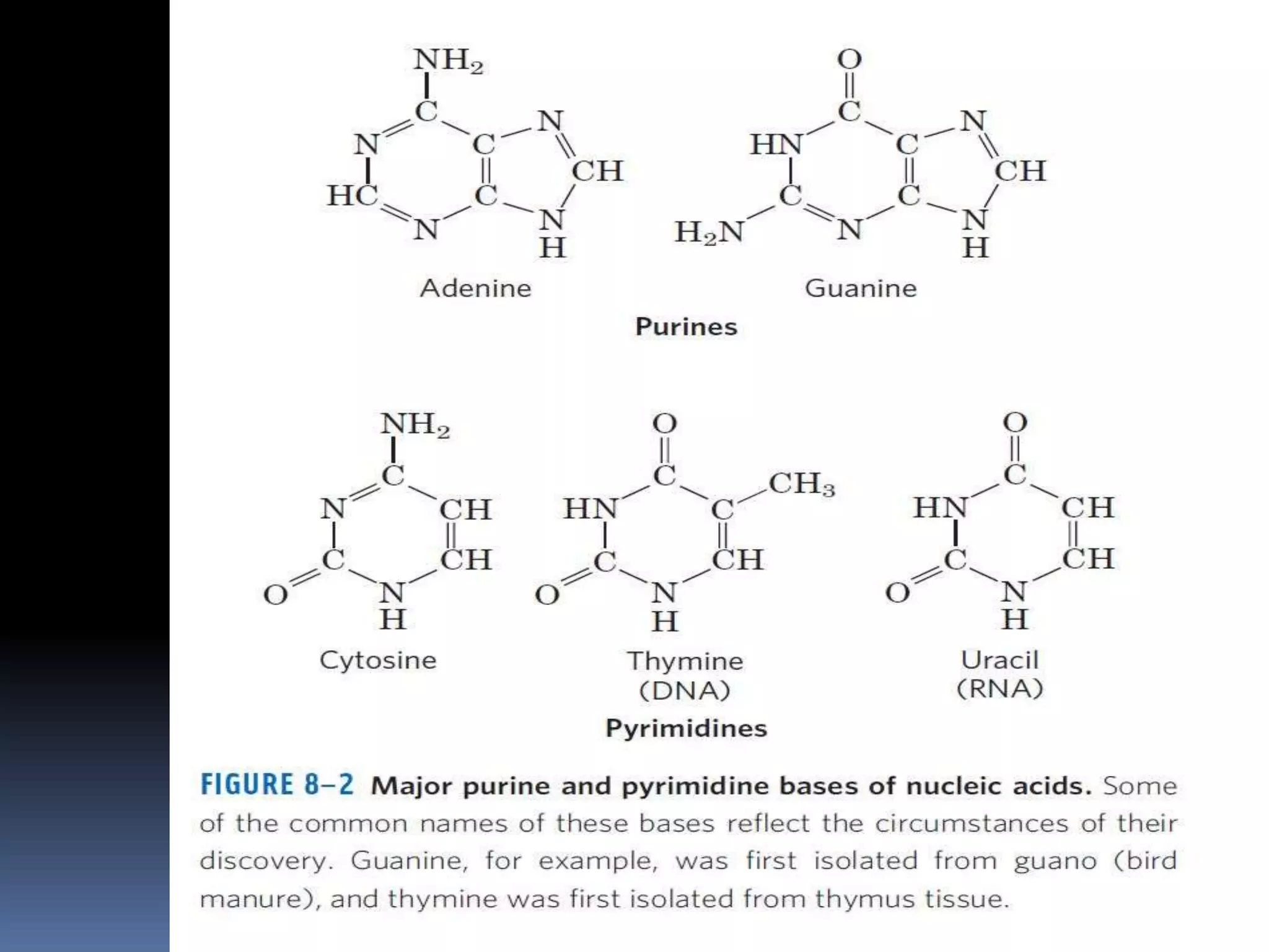 Types of DNA | PPTX