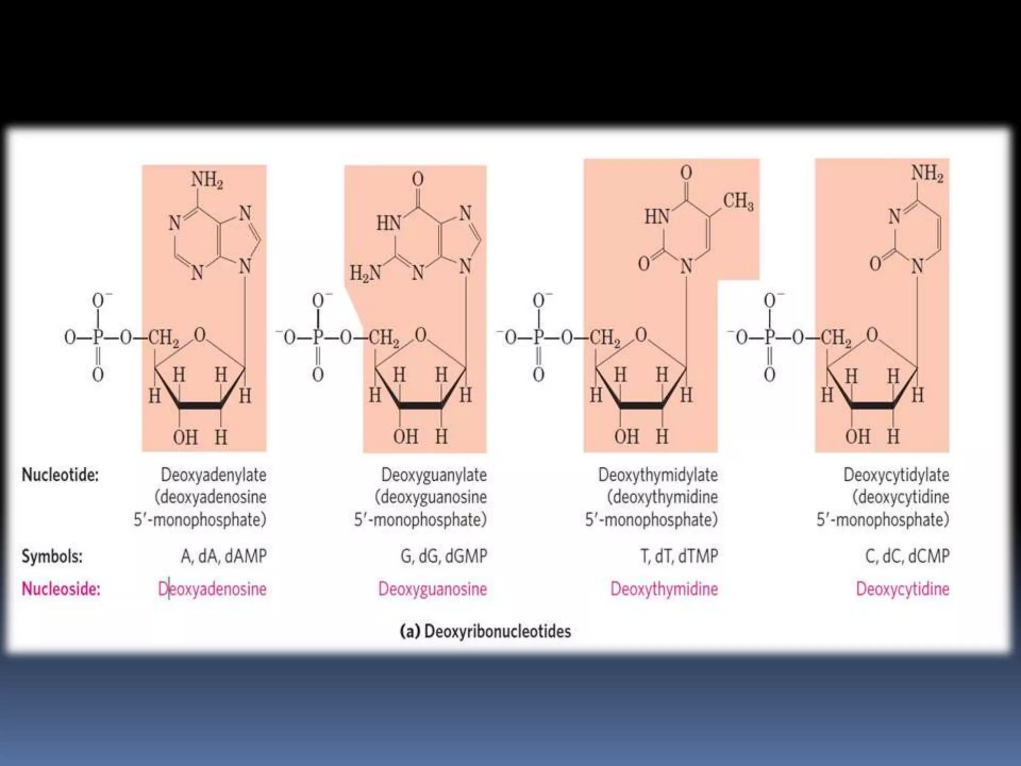 Types of DNA | PPTX | Chemistry | Science