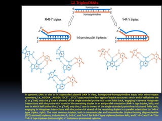 Types of DNA | PPTX