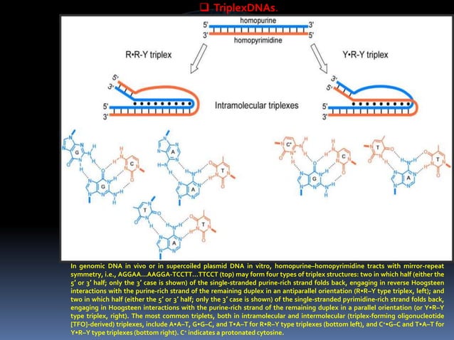 Types of DNA | PPTX | Chemistry | Science