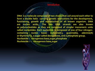 Types of DNA | PPTX