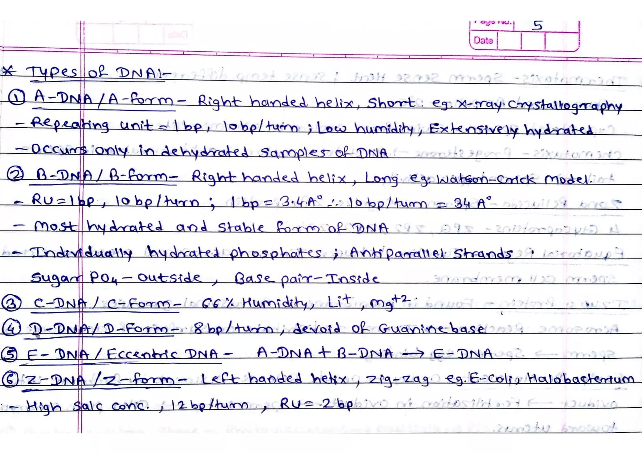 Types of DNA | PDF | Genetics | Science