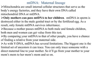 Types of DNA and RNA and their importance | PPTX