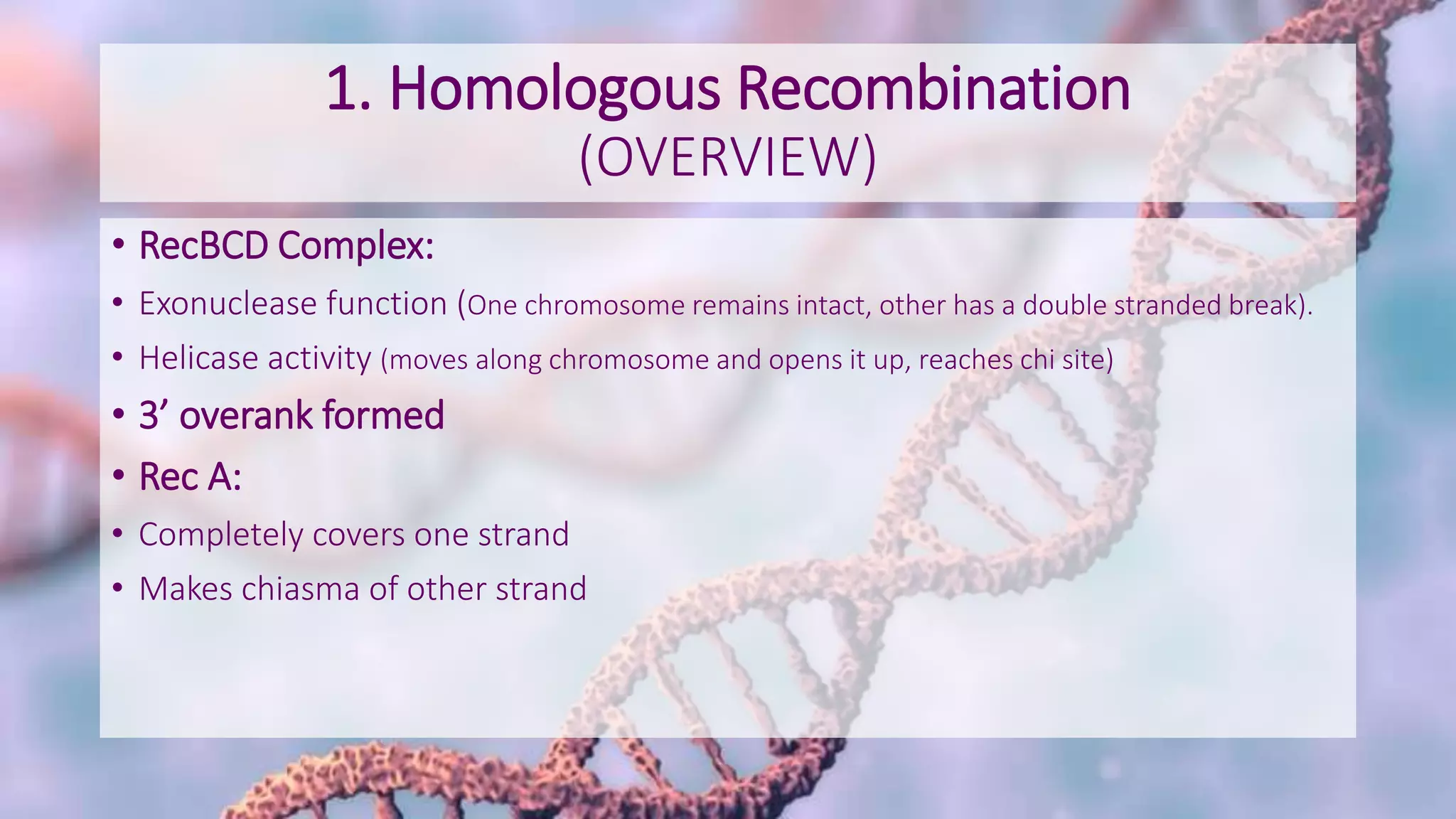 Types of dna recombination | PPTX