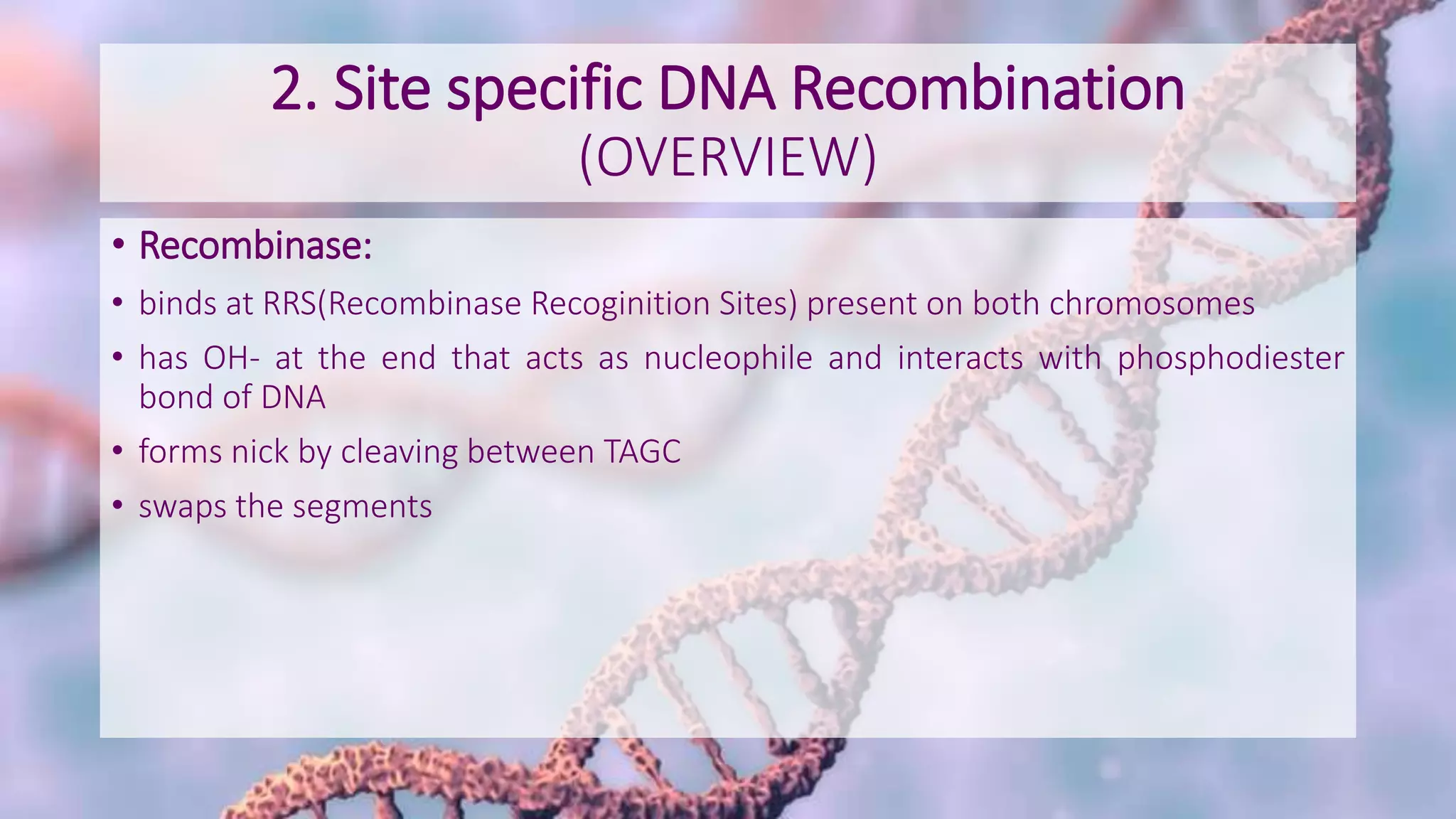 Types of dna recombination | PPTX