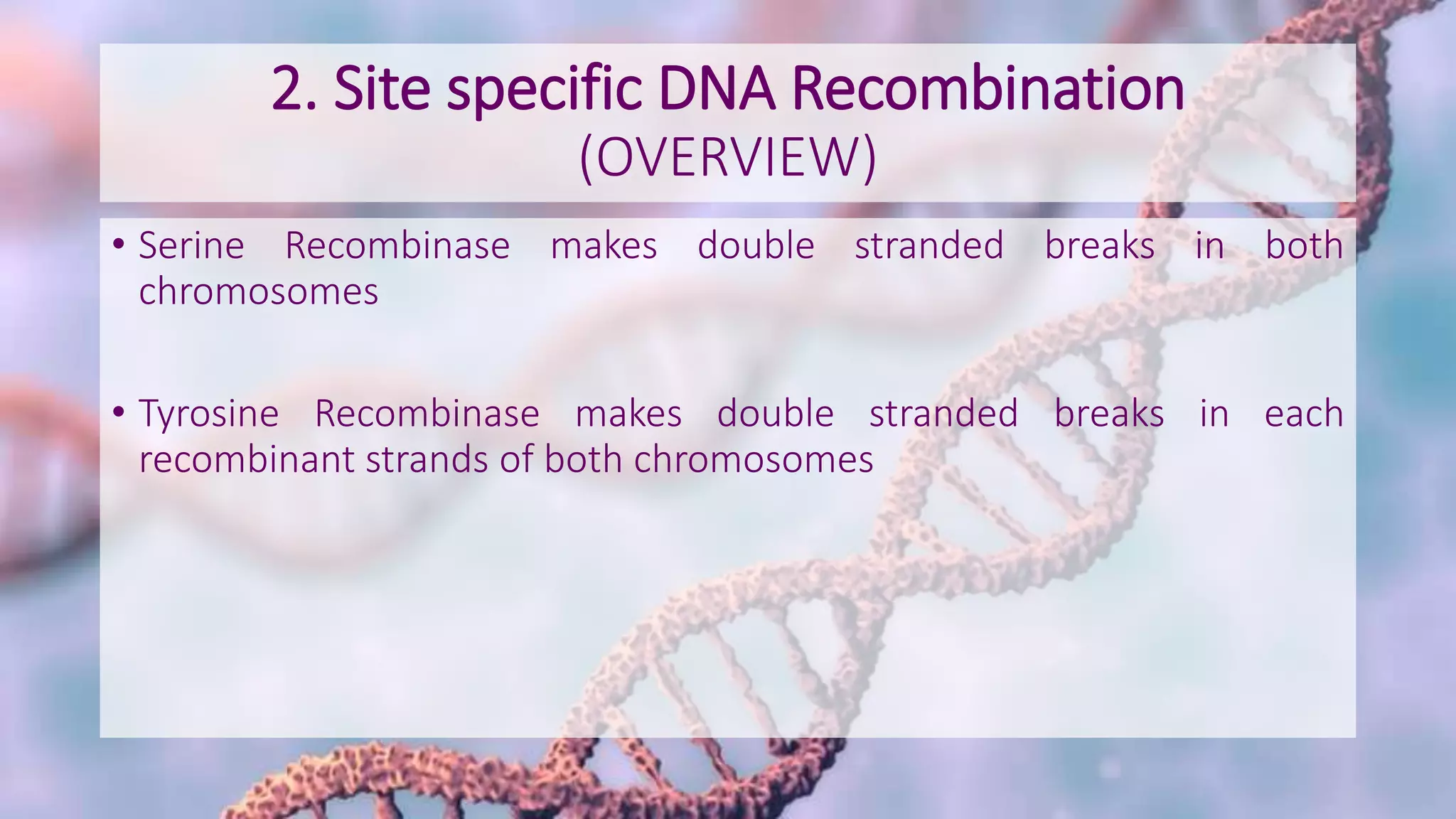 Types of dna recombination | PPTX