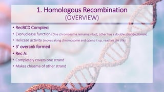 Types of dna recombination | PPTX | Genetics | Science