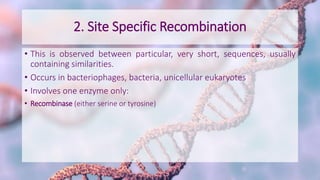 Types of dna recombination | PPTX | Genetics | Science