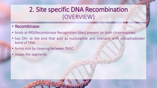 Types of dna recombination | PPTX | Genetics | Science