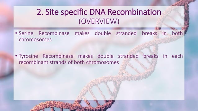 Types of dna recombination | PPTX | Genetics | Science