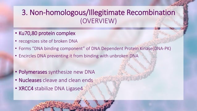 Types of dna recombination | PPTX | Genetics | Science