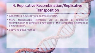 Types of dna recombination | PPTX | Genetics | Science