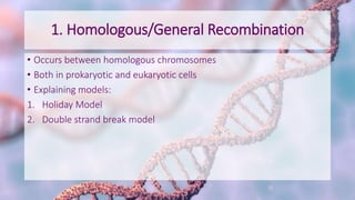 Types of dna recombination | PPTX | Genetics | Science