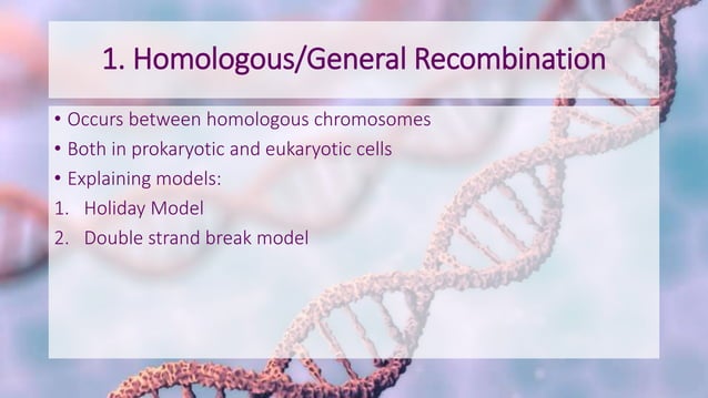 Types of dna recombination | PPTX | Genetics | Science
