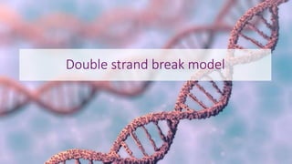 Types of dna recombination | PPTX
