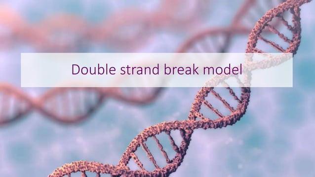 Types of dna recombination | PPTX | Genetics | Science