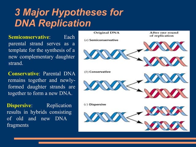 TYPES OF DNA REPLICATION & SEMI-CONSERVATIVE REPLICATION EE.pptx