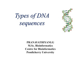 Types of DNA sequences | PDF
