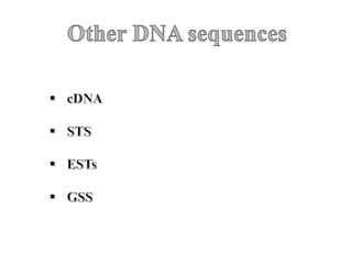 Types of DNA sequences | PDF