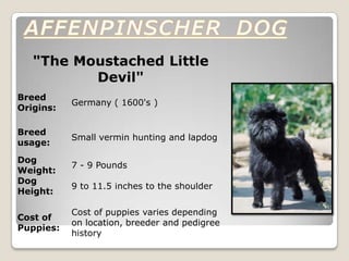 Types of dogs | PPTX