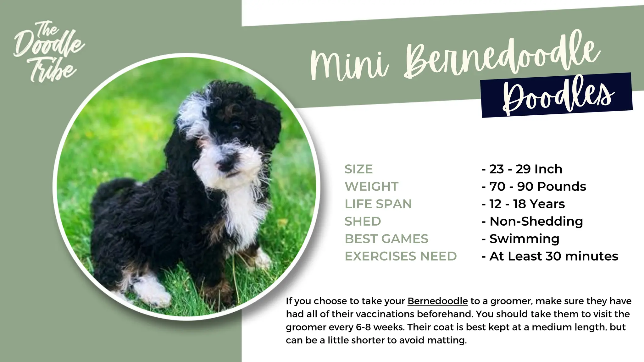 Types Of Doodle - The Doodle Tribe.pdf