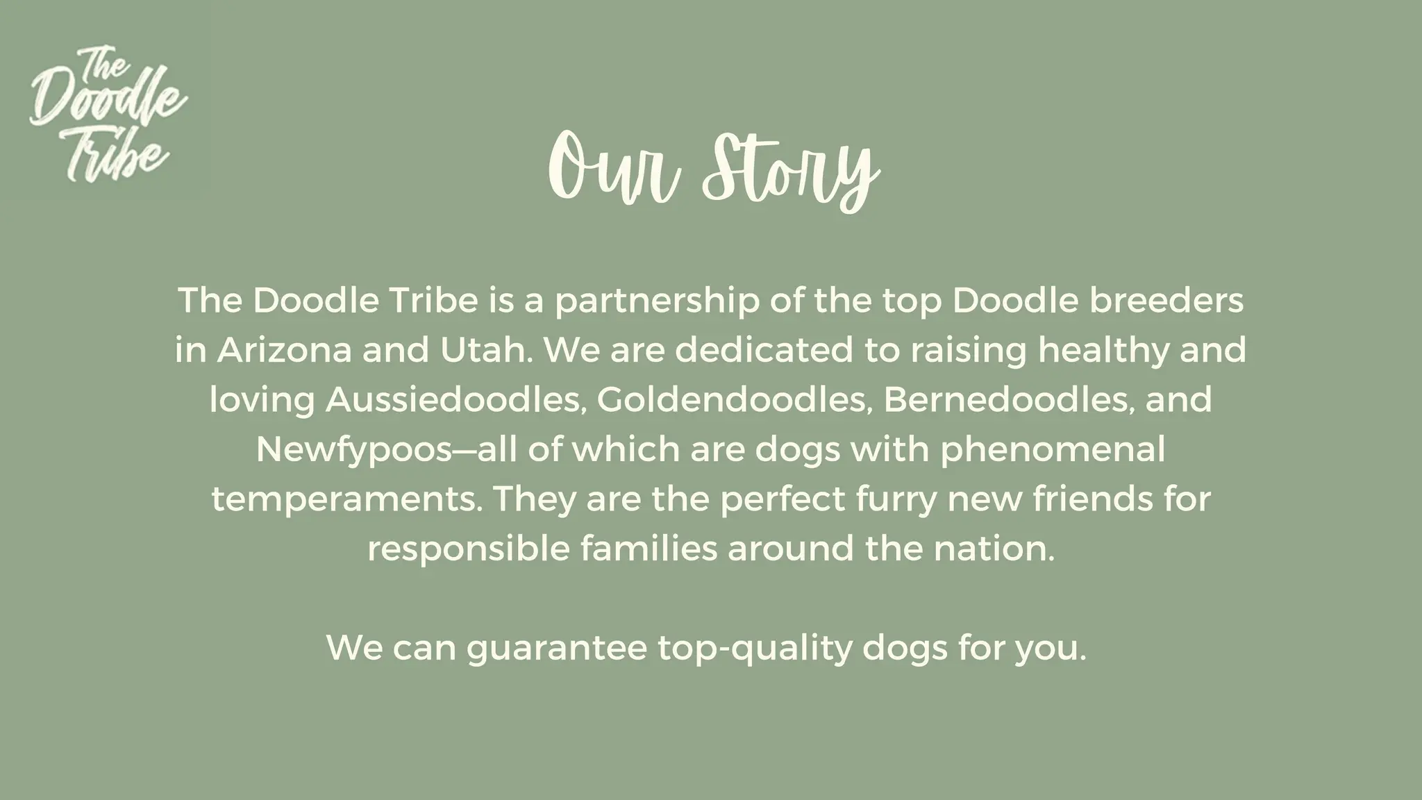 Types Of Doodle - The Doodle Tribe.pdf