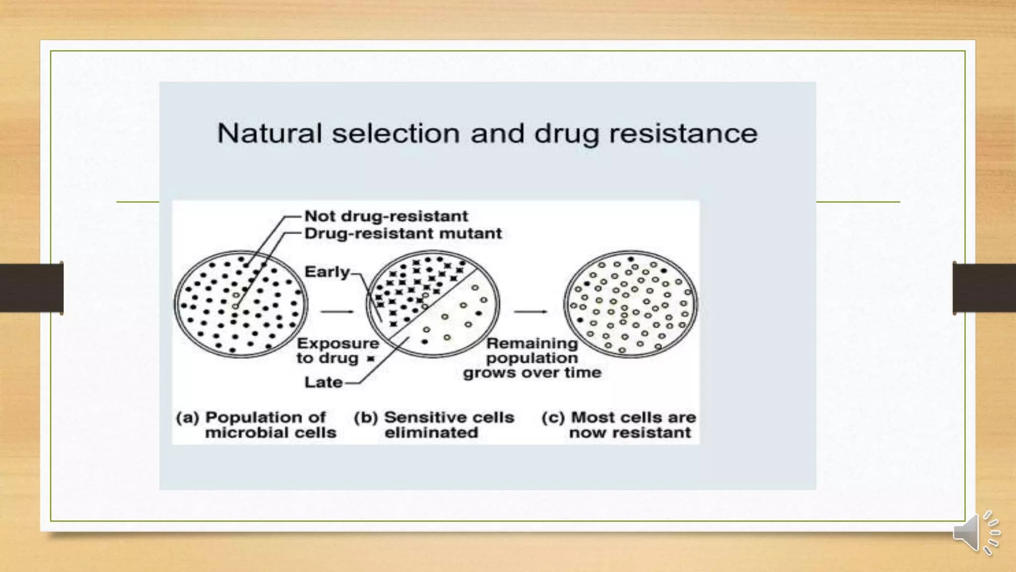 TYPES OF DRUG RESISTANCE.pptx