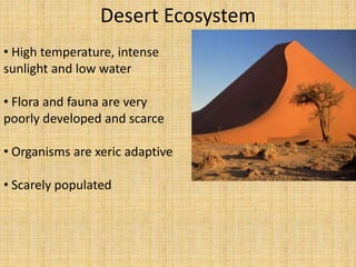 Desert Ecosystem Examples