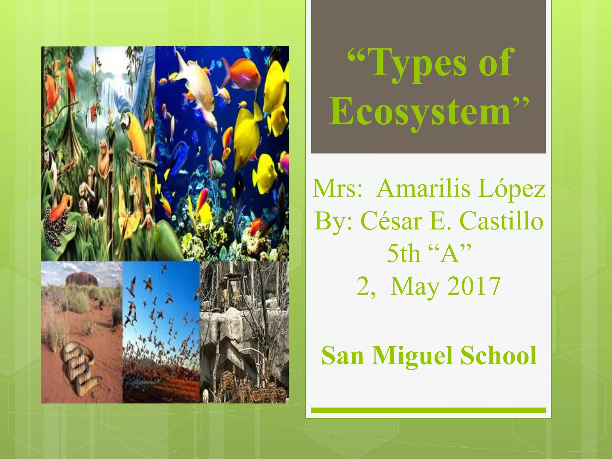 Types of ecosystem | PPT