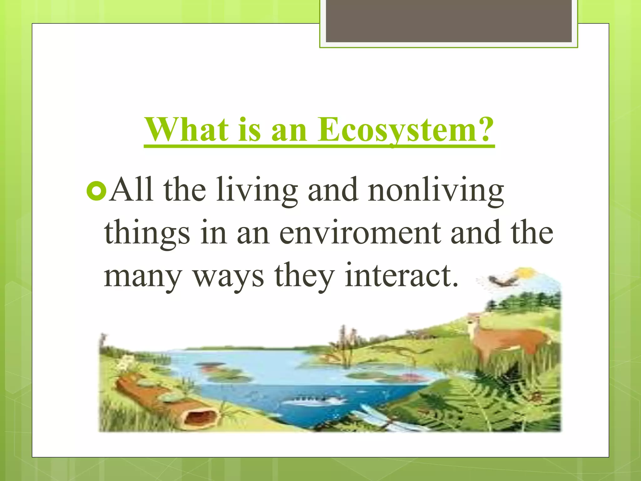 Types of ecosystem | PPTX