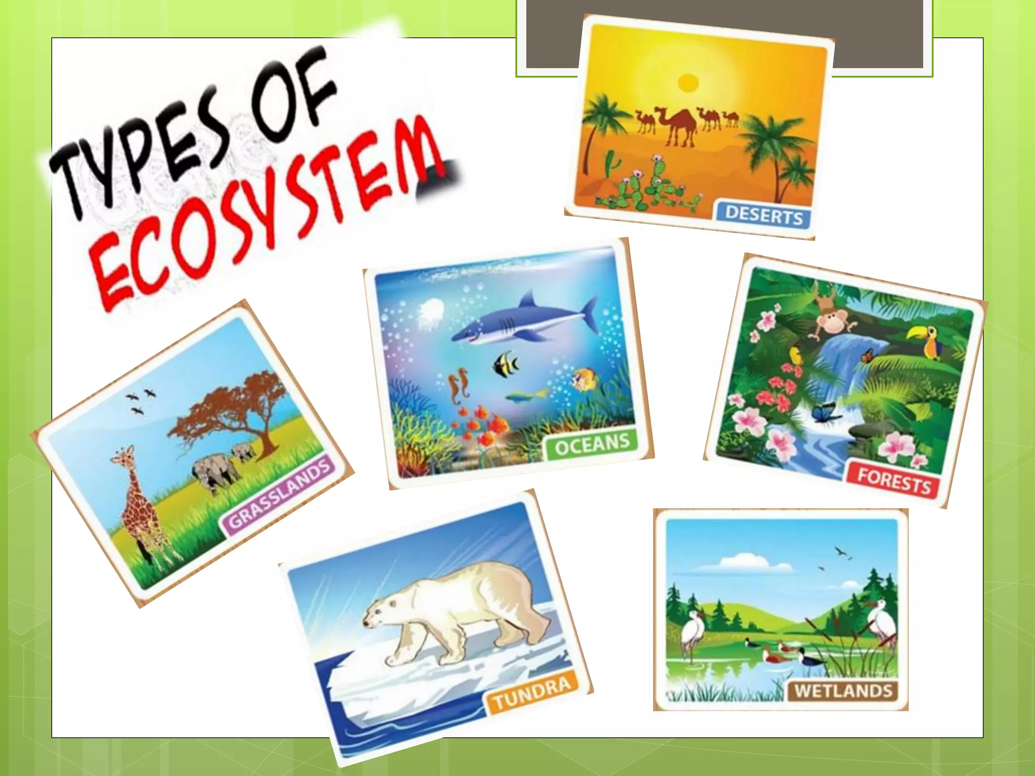 Types of ecosystem | PPT
