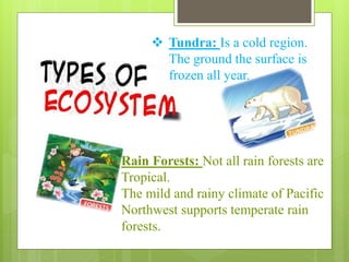 Types of ecosystem | PPT