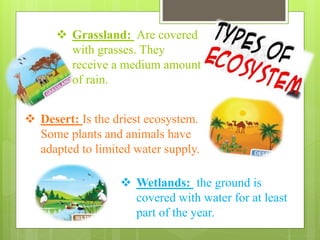 Types of ecosystem | PPT