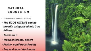 TYPES OF ECOSYSTEM (Environmental ).pptx
