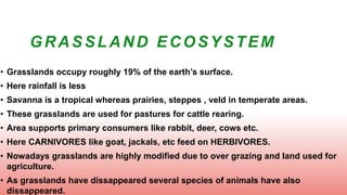 TYPES OF ECOSYSTEM (Environmental ).pptx