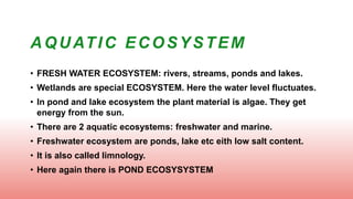 TYPES OF ECOSYSTEM (Environmental ).pptx