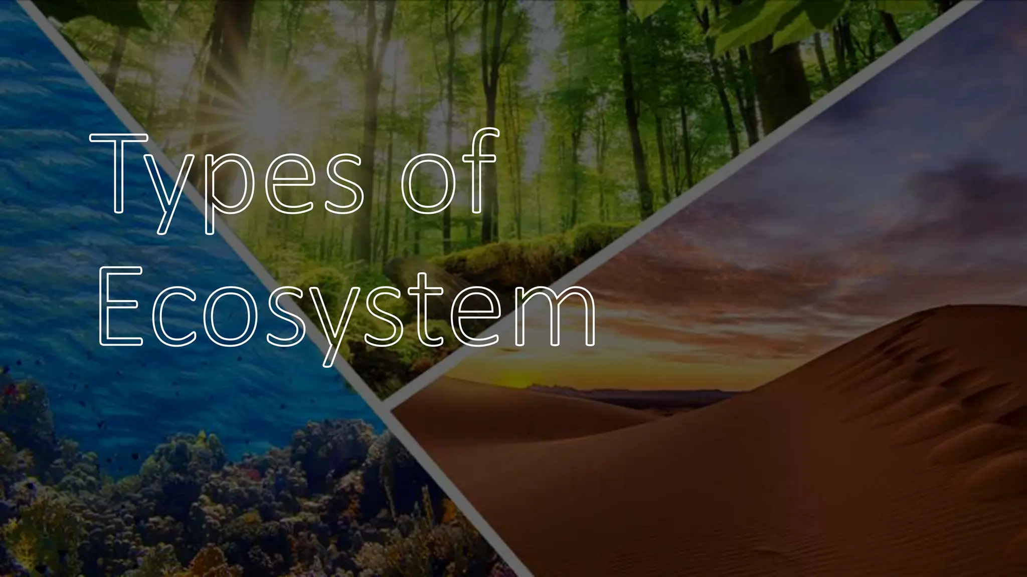 Types of Ecosystem.pptx khiuuhjknm,nmnm. | PPT