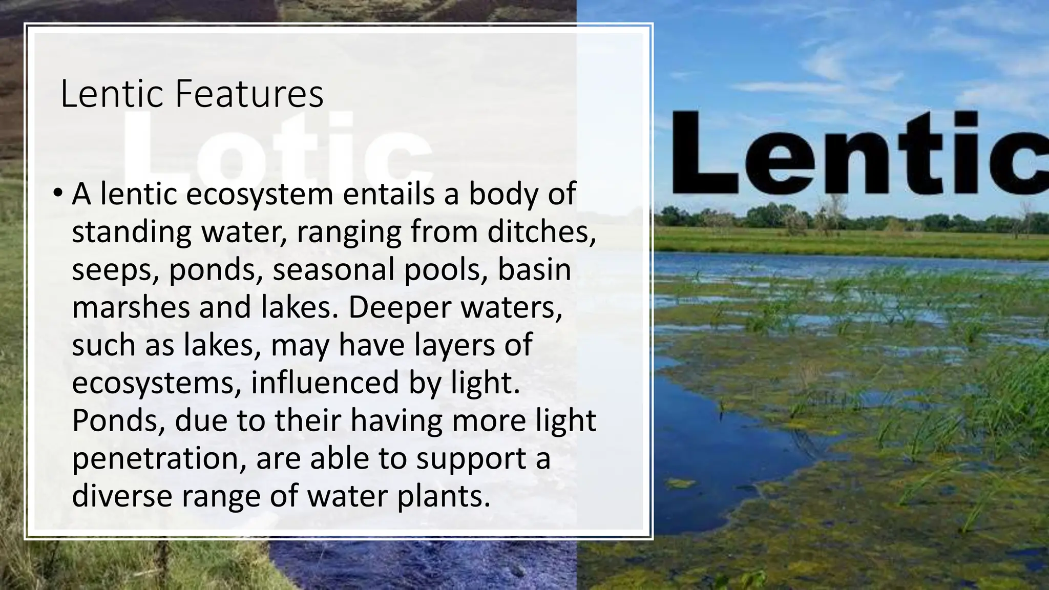 Types of Ecosystem.pptx khiuuhjknm,nmnm. | PPTX