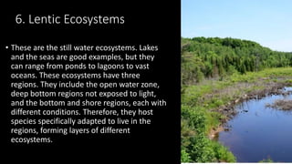 Types of Ecosystem.pptx khiuuhjknm,nmnm. | PPTX
