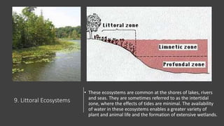 Types of Ecosystem.pptx khiuuhjknm,nmnm. | PPTX